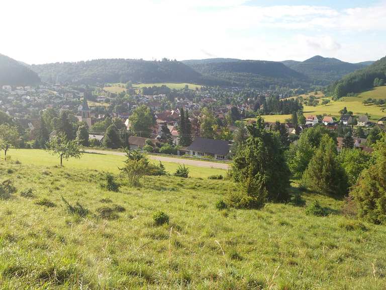 Blick auf Pfeffingen von der Schönhalde: Wanderungen und Rundwege | komoot