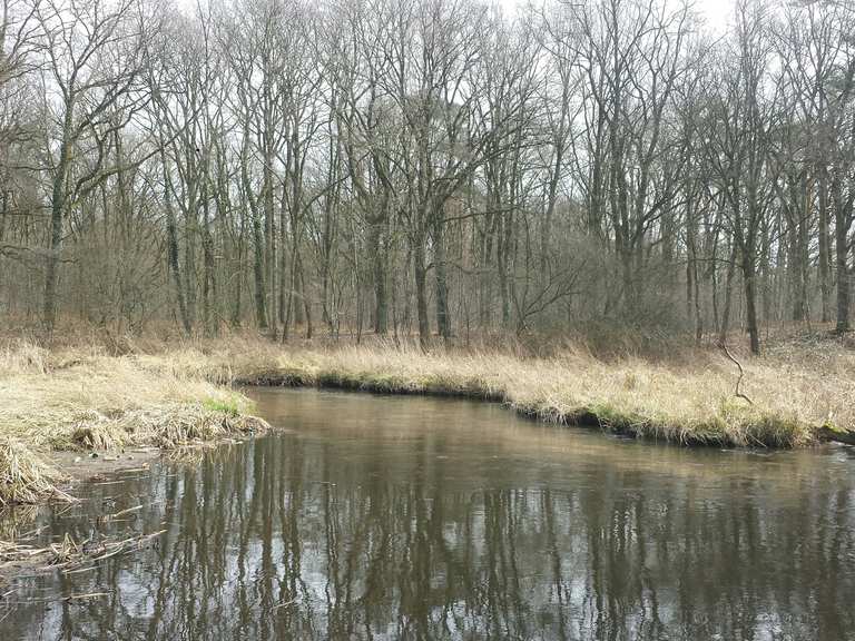 An der Swalm entlang wandelroutes en hikes | Komoot