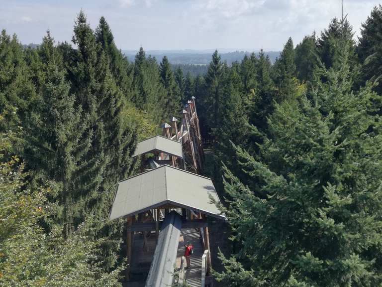 Baumkronenweg Kopfing Routes for Walking and Hiking | Komoot