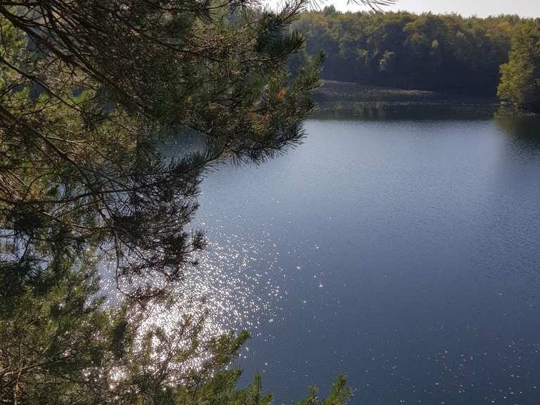 Oberwaldsee & Vogelsberger See : Radtouren und Radwege | komoot