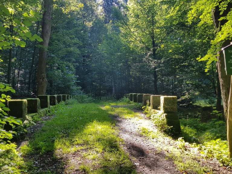 Heide Stausee – Dresdner Heide Loop from Neustadt | mountainbikeroute ...