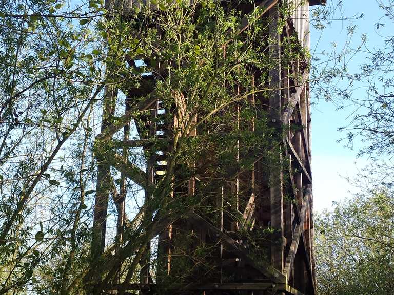 Aussichtsturm Ilkerbruch Routes for Walking and Hiking | Komoot