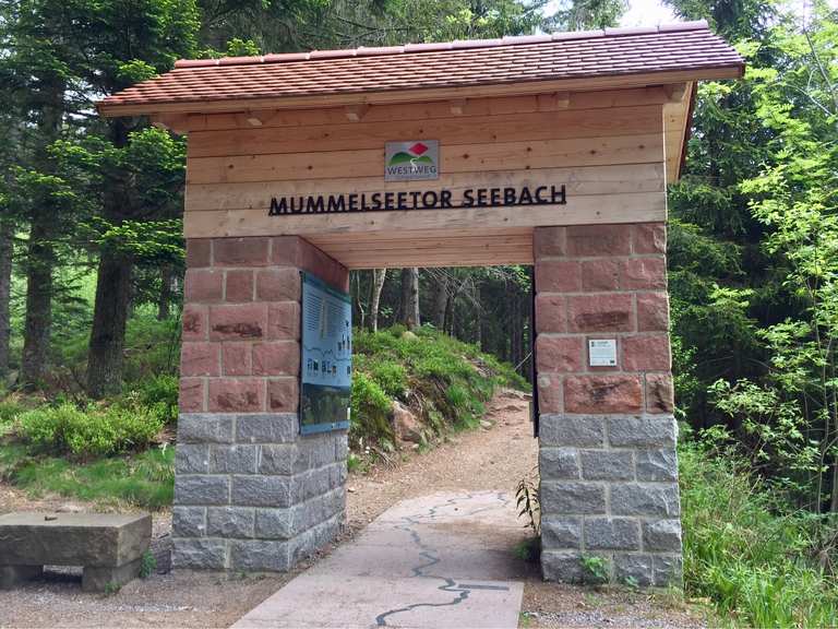 Hochmoorweg – Mummelsee boucle au départ de Seebach | randonnée ...