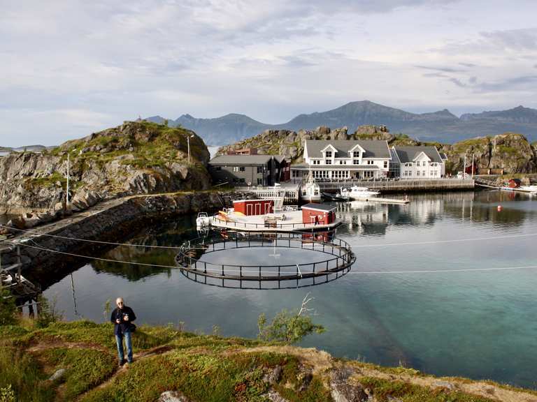 Hamn i Senja: Wanderungen und Rundwege | komoot