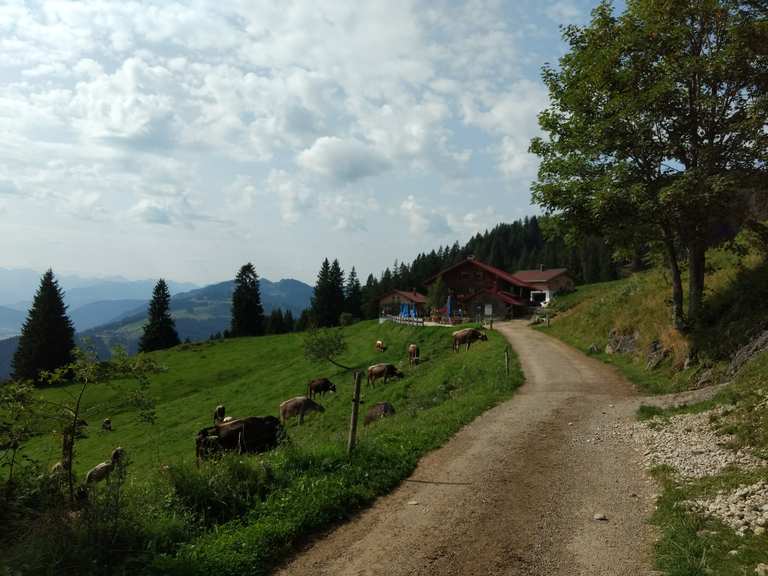 Alpe Oberberg Routes for Walking and Hiking | Komoot