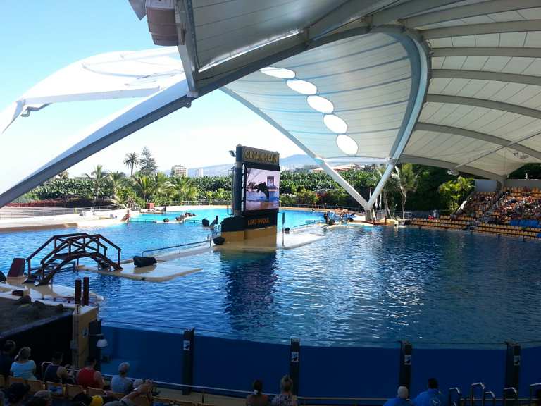 Loro Parque Routes for Walking and Hiking | Komoot