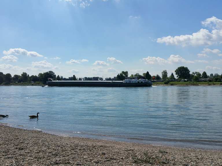 Mannheim-Neckarau lido Routes for Walking and Hiking | Komoot