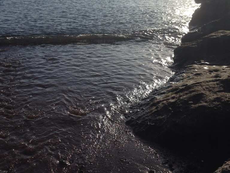 Playa El Pinque Routes for Walking and Hiking | Komoot