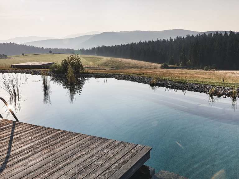 Hotel Die Halde wandelroutes en hikes | Komoot