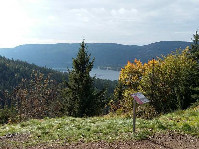 Bildstein: Wanderungen und Rundwege | komoot
