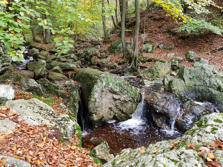 Cascade des Nutons – Randonnées & Comment s'y rendre | Komoot