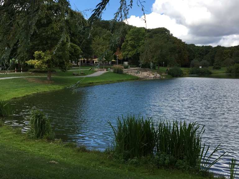 Elsenz See - Mountain Bike Trails & Tracks | Komoot