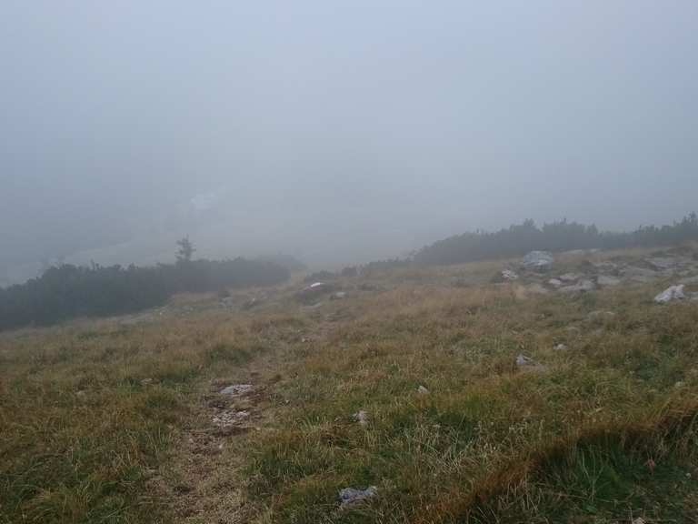 Schafbergalm – Station der Bergbahn: Wanderungen und Rundwege | komoot