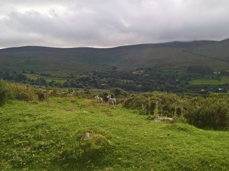 Bohernabreena Reservoir loop from Sandymount - Wicklow Mountains ...