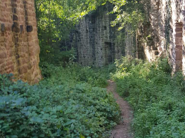 Ruine Burg Waldeck - Hirsau, Calw | Hiking Tips & Photos | Komoot