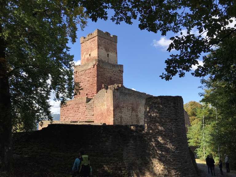 Burgruine Freudenburg: Wanderungen und Rundwege | komoot