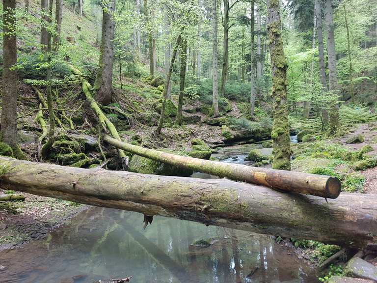 Monbachtal - Bad Liebenzell, Calw | Hiking Tips & Photos | Komoot