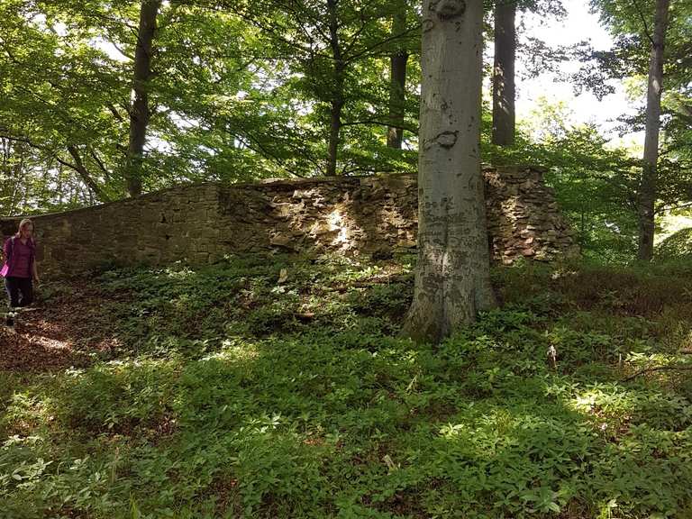 Kasteelruïne Rodenberg wandelroutes en hikes | Komoot