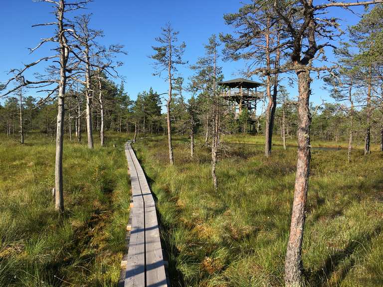 Hochmoor Viru Rabu Lahemaa Rahvuspark - Routes for Walking and Hiking ...