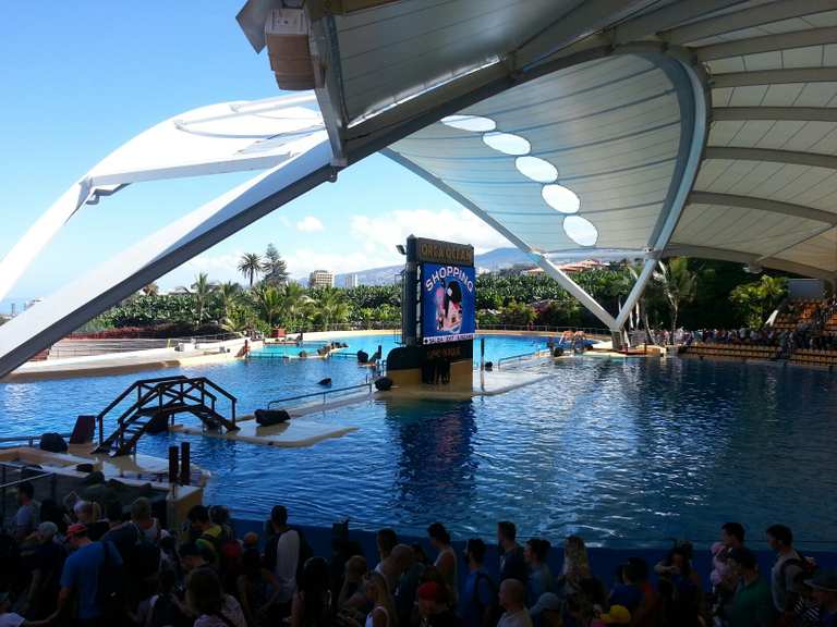 Loro Parque Routes for Walking and Hiking | Komoot