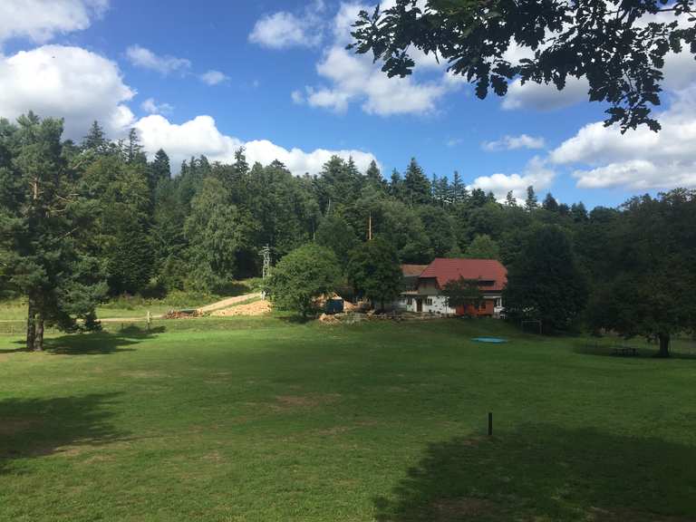 Forsthaus Annweiler/Schwarzer Fuchs Routes for Walking and Hiking | Komoot