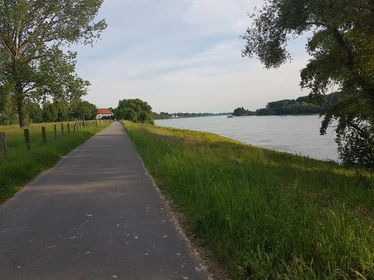 Typische Landschaft am Rhein : Radtouren und Radwege | komoot