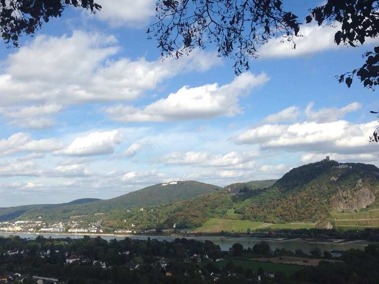 Rodderberg : Radtouren und Radwege | komoot
