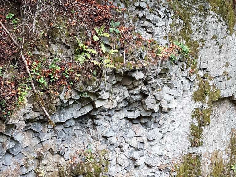 Alter Basaltsteinbruch: Wanderungen und Rundwege | komoot