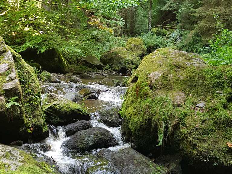 Ravenna Gorge - Routes for Walking and Hiking | Komoot