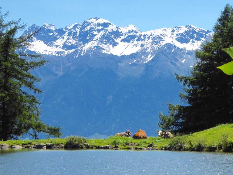 Bergsee / Burgeis Routes for Walking and Hiking | Komoot