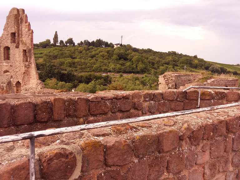 Burg Neuleiningen mit Museum im Burgturm: Wanderungen und Rundwege | komoot