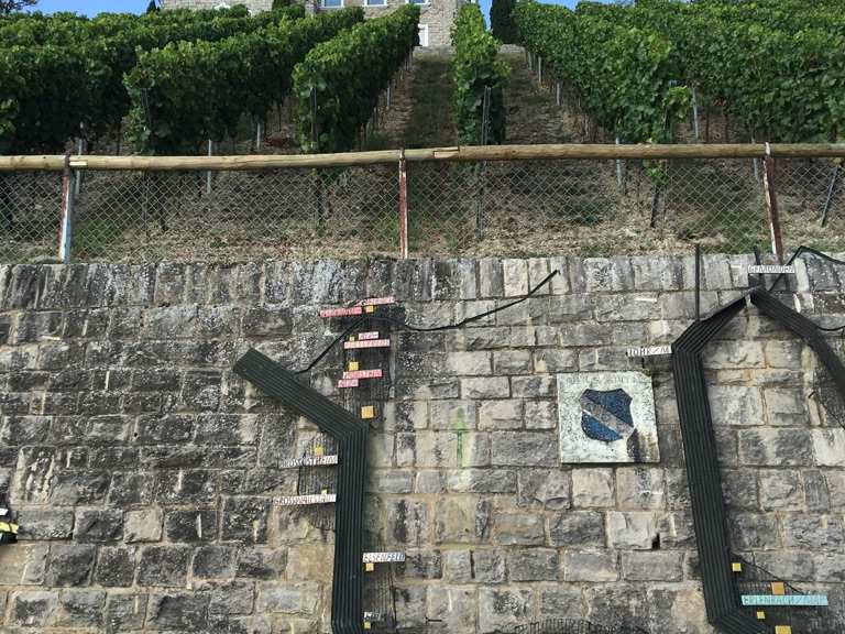 Schloss Steinburg wandelroutes en hikes | Komoot