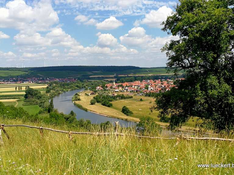 Dschungelweg – Schöner Blick auf den Main loop from Obervolkach | hike ...