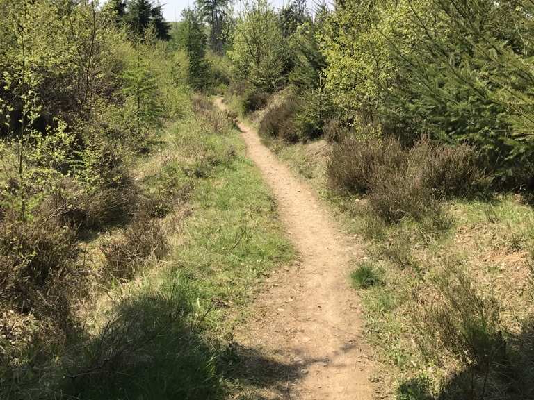 Cozy and beautiful trail - Routes for Walking and Hiking | Komoot