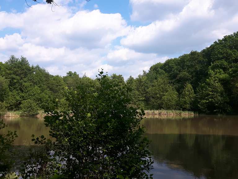 Annasee Routes for Walking and Hiking | Komoot