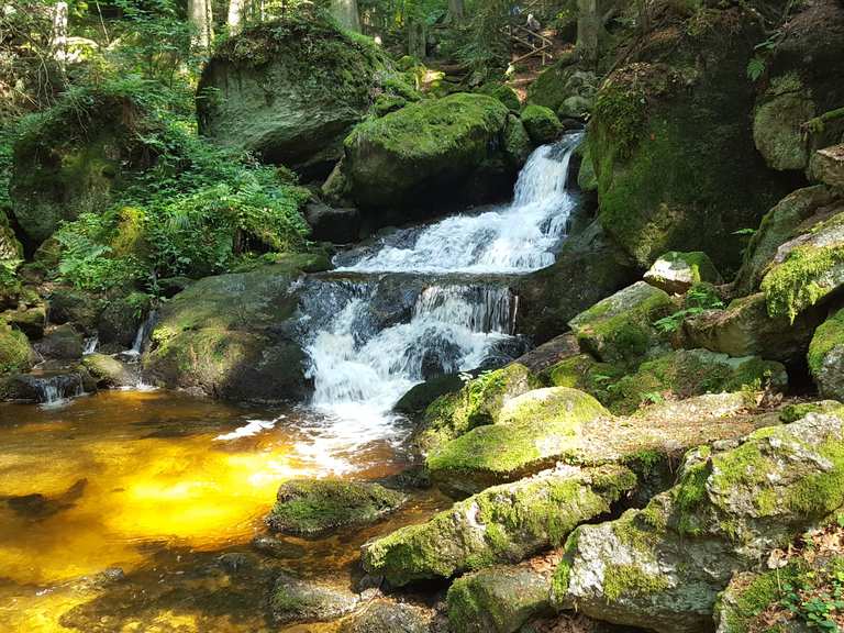Ysperklamm: Wanderungen und Rundwege | komoot