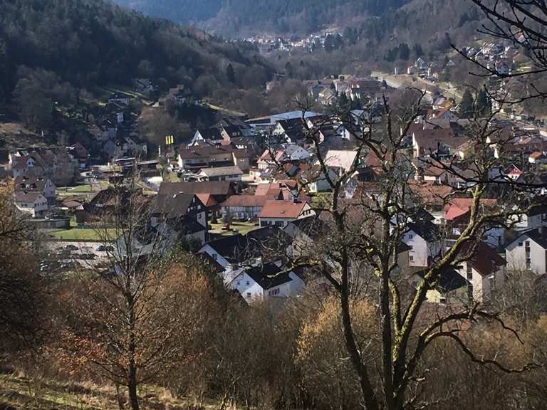 Blick über Calmbach – Kleine Runde nach Höfen boucle au départ de Höfen ...