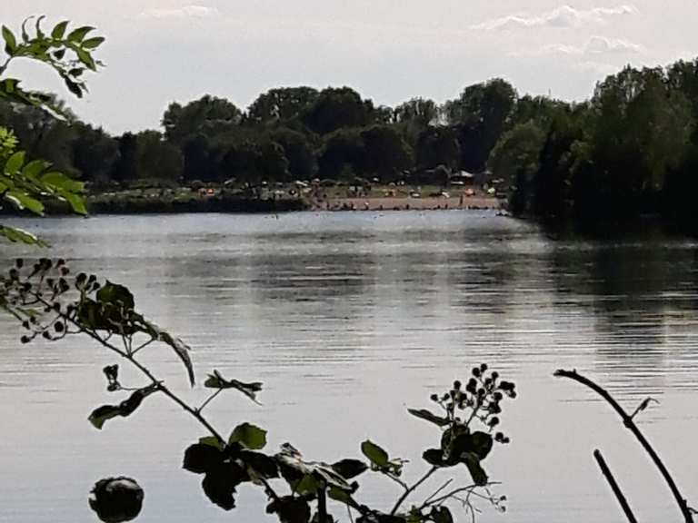 Heddesheim: Badesee - Cycle Routes and Map | Komoot