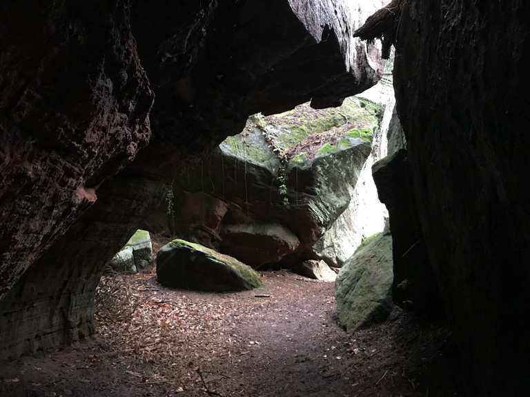 Forêt de rochers - Itinéraires de rando et marche | Komoot