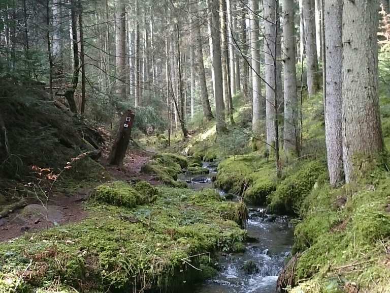 Im Rötelbachtal - Hirsau, Calw | Hiking Tips & Photos | Komoot