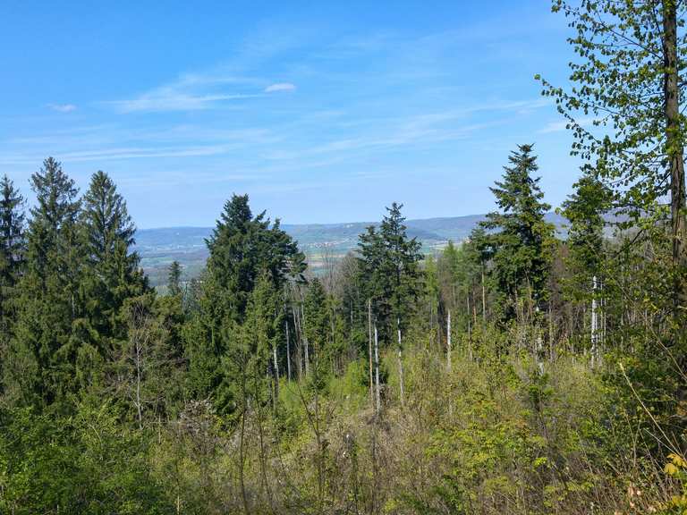 Bullach-Weißenohe-Barockgarten | mountainbikeroute | Komoot