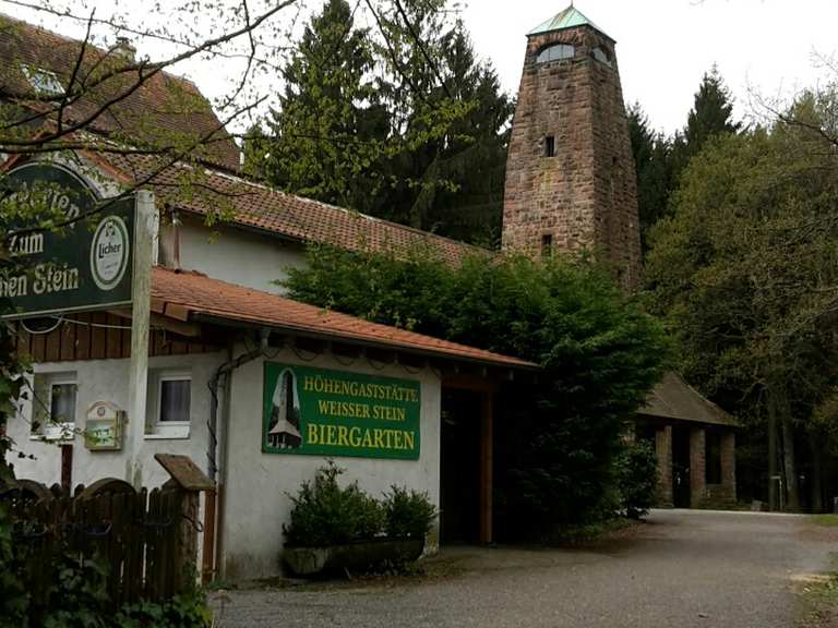 Zum Weißen Stein: Wanderungen und Rundwege | komoot