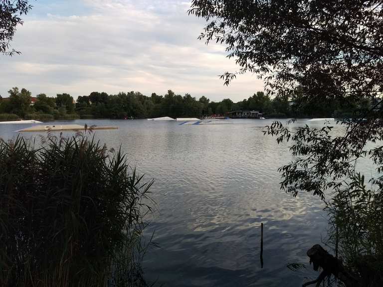 Rheinauer See, Mannheim: Radtouren und Radwege | komoot