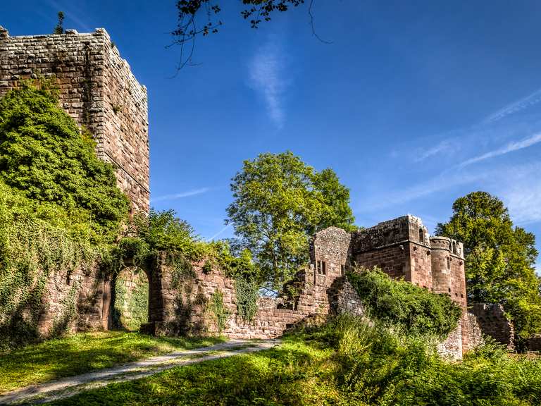 Ruine Wildenburg Routes for Walking and Hiking | Komoot