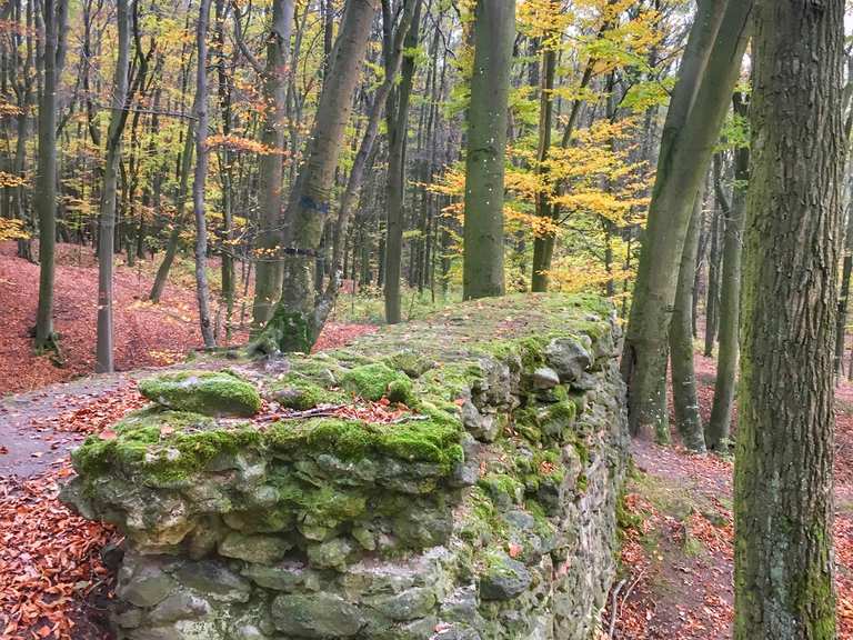 Burgruine Schauerberg - Mountain Bike Trails & Tracks | Komoot