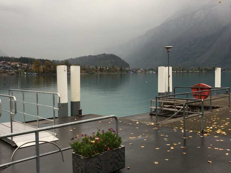 Hängebrücke Ebligen – Wanderer am See Runde von Brienz | Wanderung | Komoot