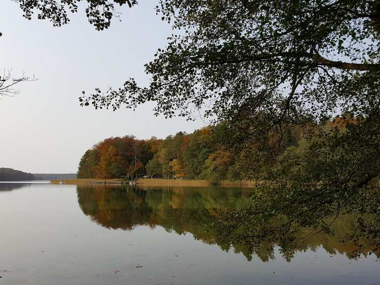 Grand lac Stechlin - Itinéraires vélo et carte | Komoot