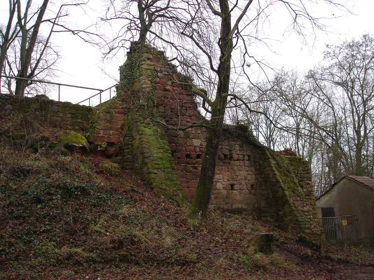 Burgruine Stauf Routes for Walking and Hiking | Komoot