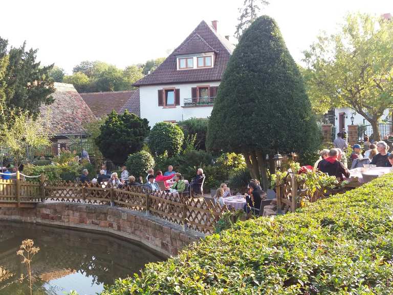 Burrweiler Mühle Routes for Walking and Hiking | Komoot