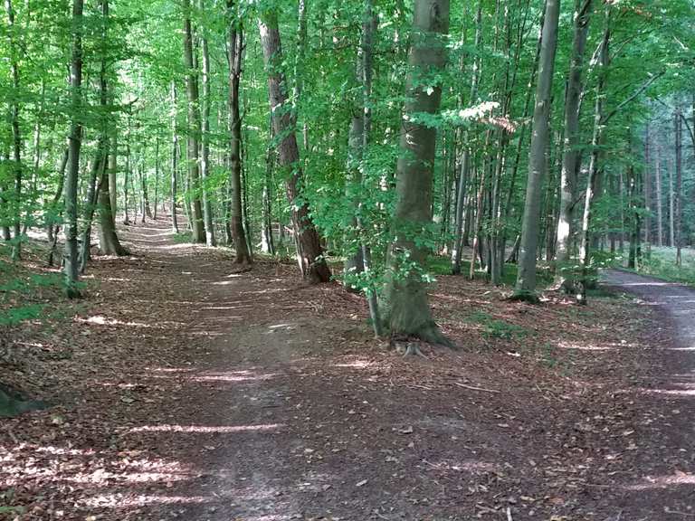 Aubinger Lohe – Aubinger Geschichtspfad Runde von Allach | Mountainbike ...